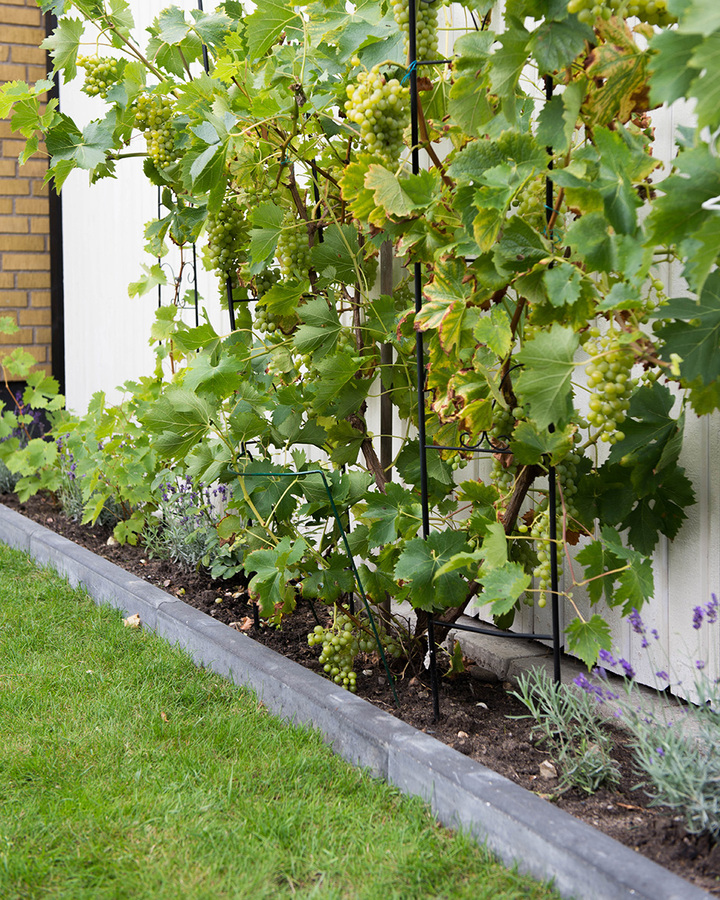 Kantsten Balk antracit | Handla hos Flisby