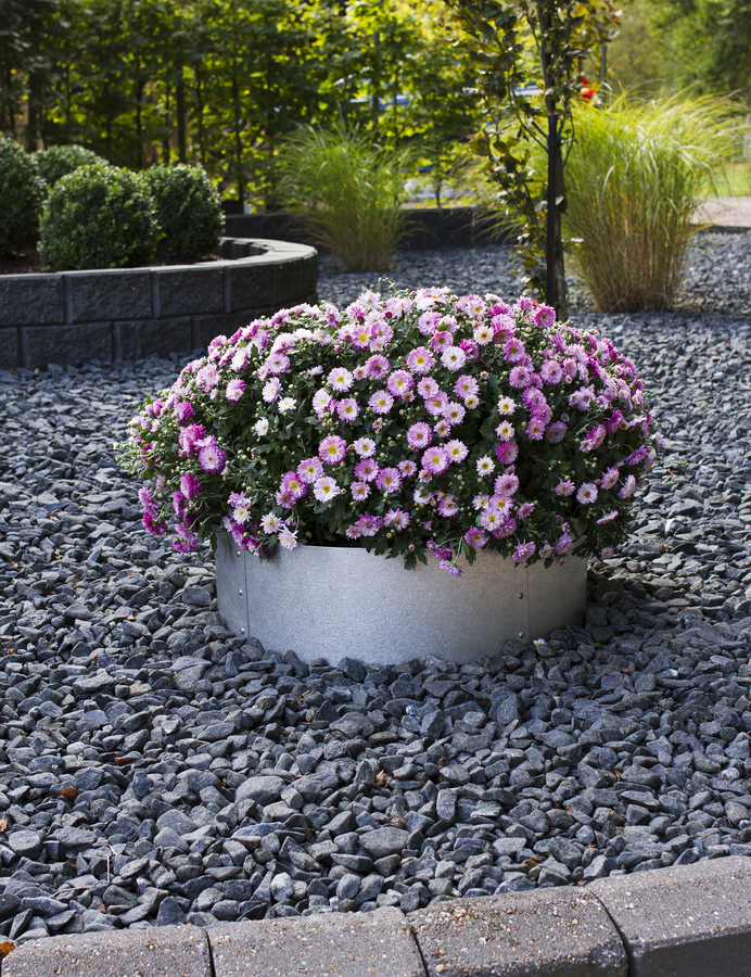 Diabaskross 32-84 mm 700 kg | Handla hos Flisby