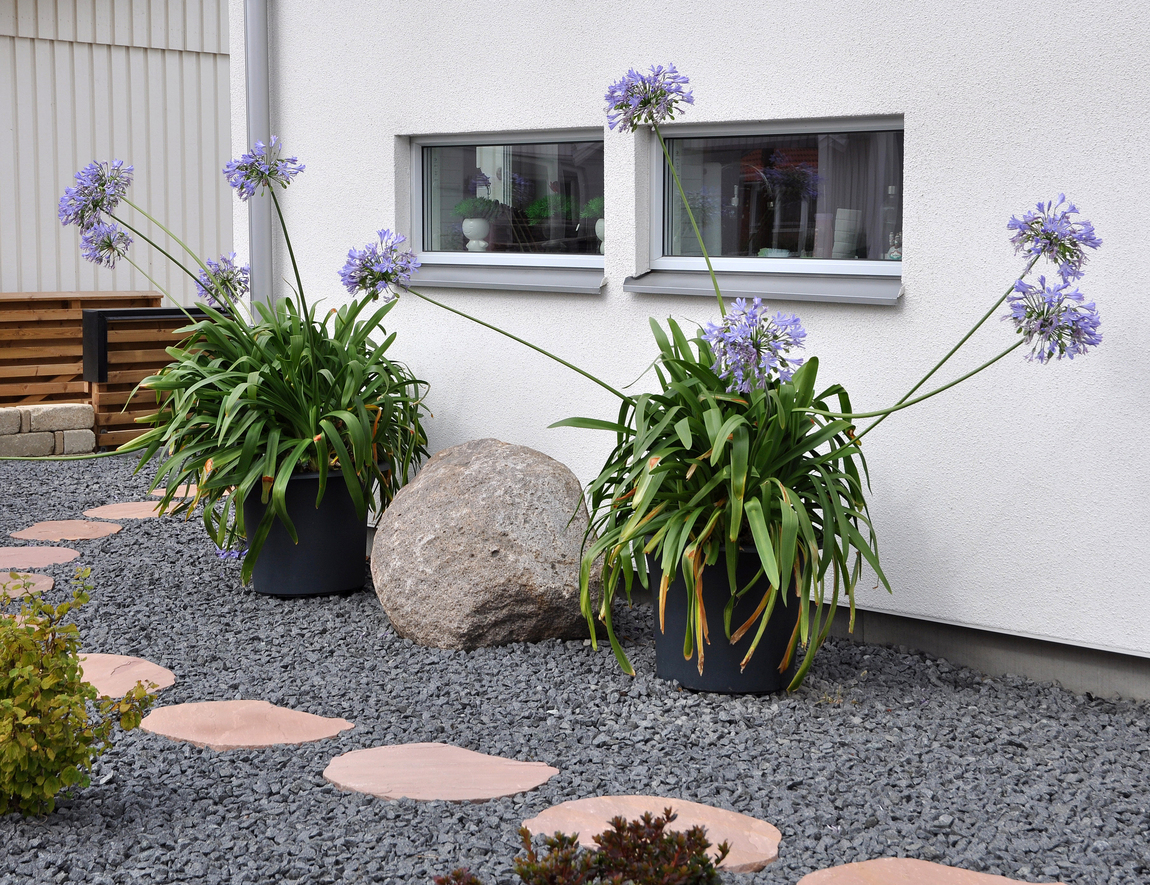 Sandsten stegsten ockrasand | Handla hos Flisby